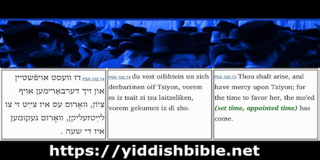 Contact Us | HaDerekh HaMeshichistim